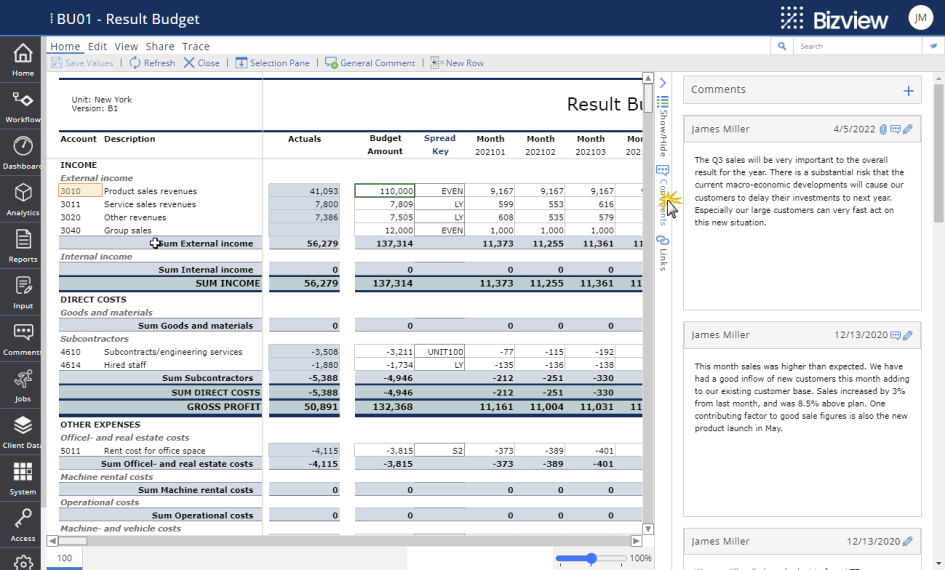 Comments Panel in Report/Form – Bizview v23