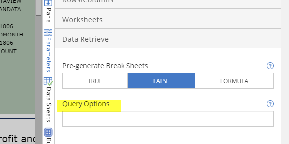 QUERY_OPTIONS – Bizview v23