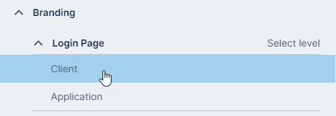 Client Branding – Bizview v23
