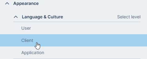 Client Appearance – Bizview v23