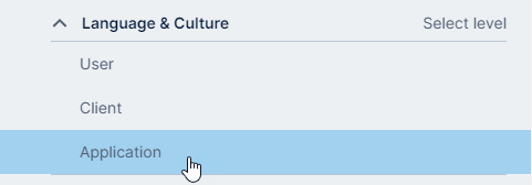Application Appearance – Bizview v23