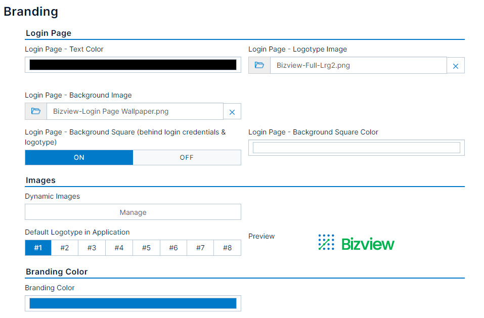 Client Branding – Bizview v23