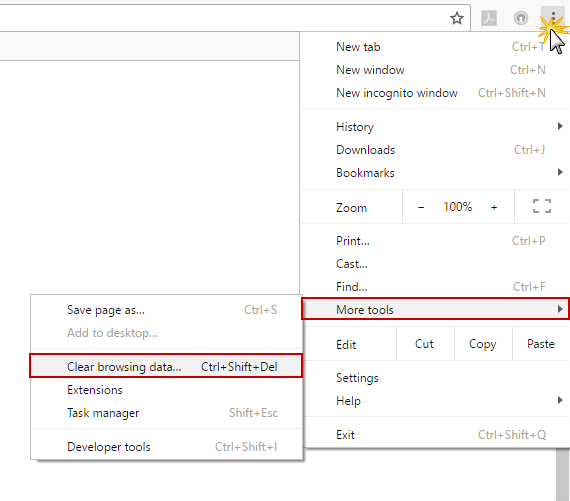 Clearing Browser Cache/History – Bizview v23