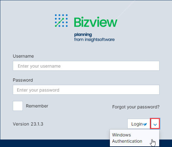Windows Authentication – Bizview v23